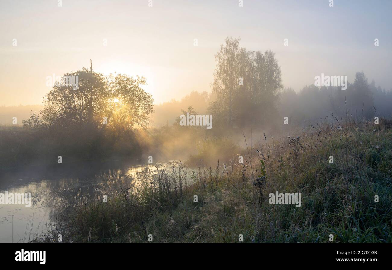 Foggy forest sunrise hi-res stock photography and images - Alamy