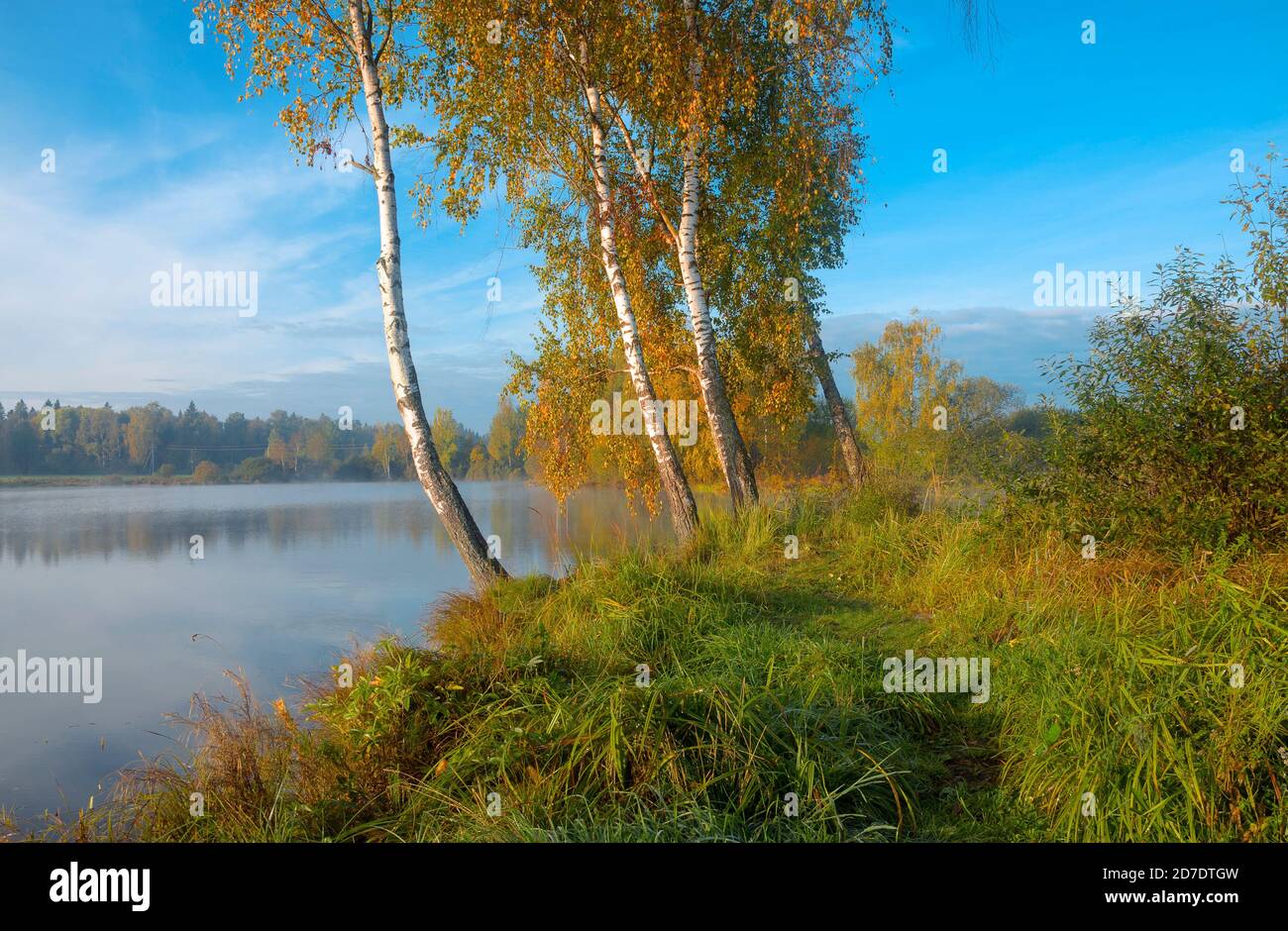 Autumn sunny scene with forest lake and trees Stock Photo - Alamy