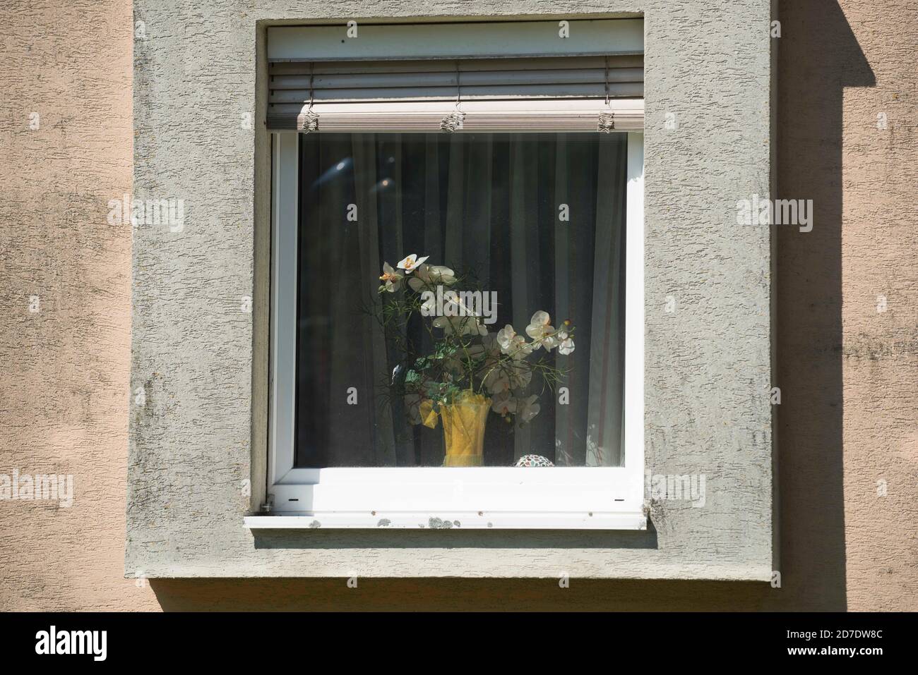 window pane in a building for watching outside and letting in light ...