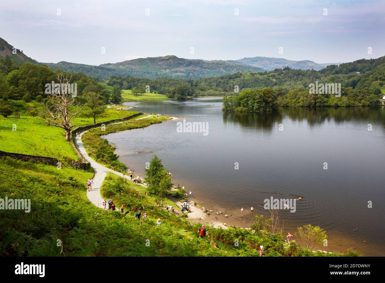 Swimming rydal water lake district hi-res stock photography and images ...
