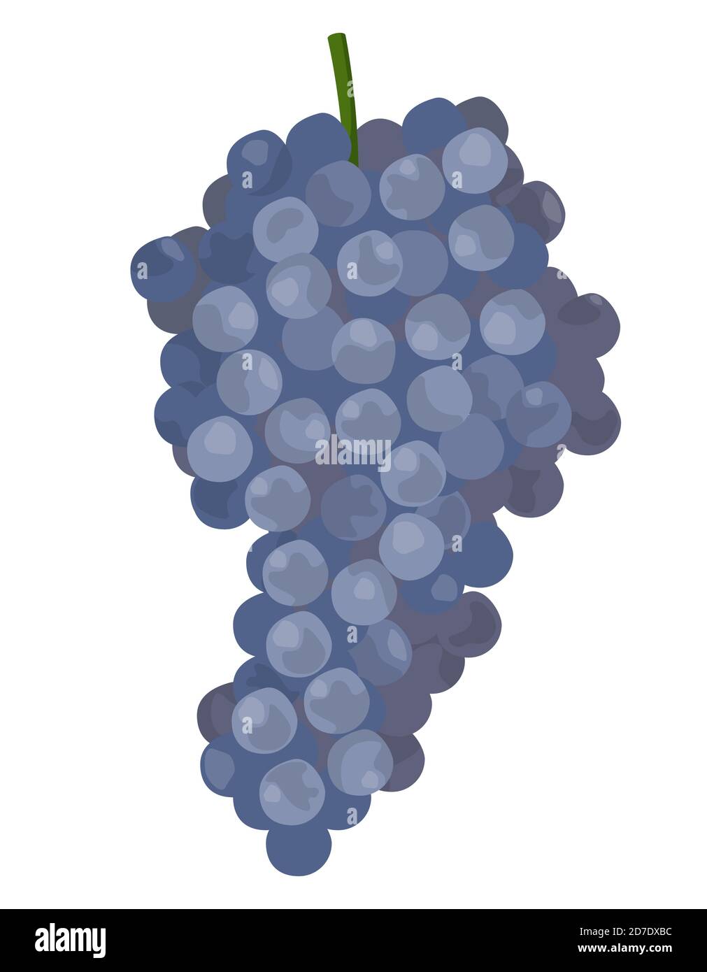 Red grape in cartoon style. Sweet fruit isolated on white background ...