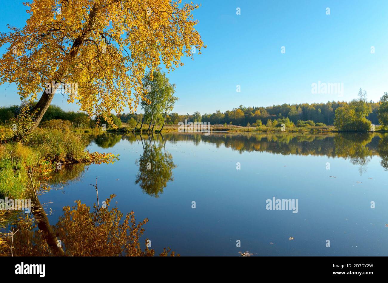 Sunny autumn landscape with trees and calm lake during sunrise Stock Photo - Alamy