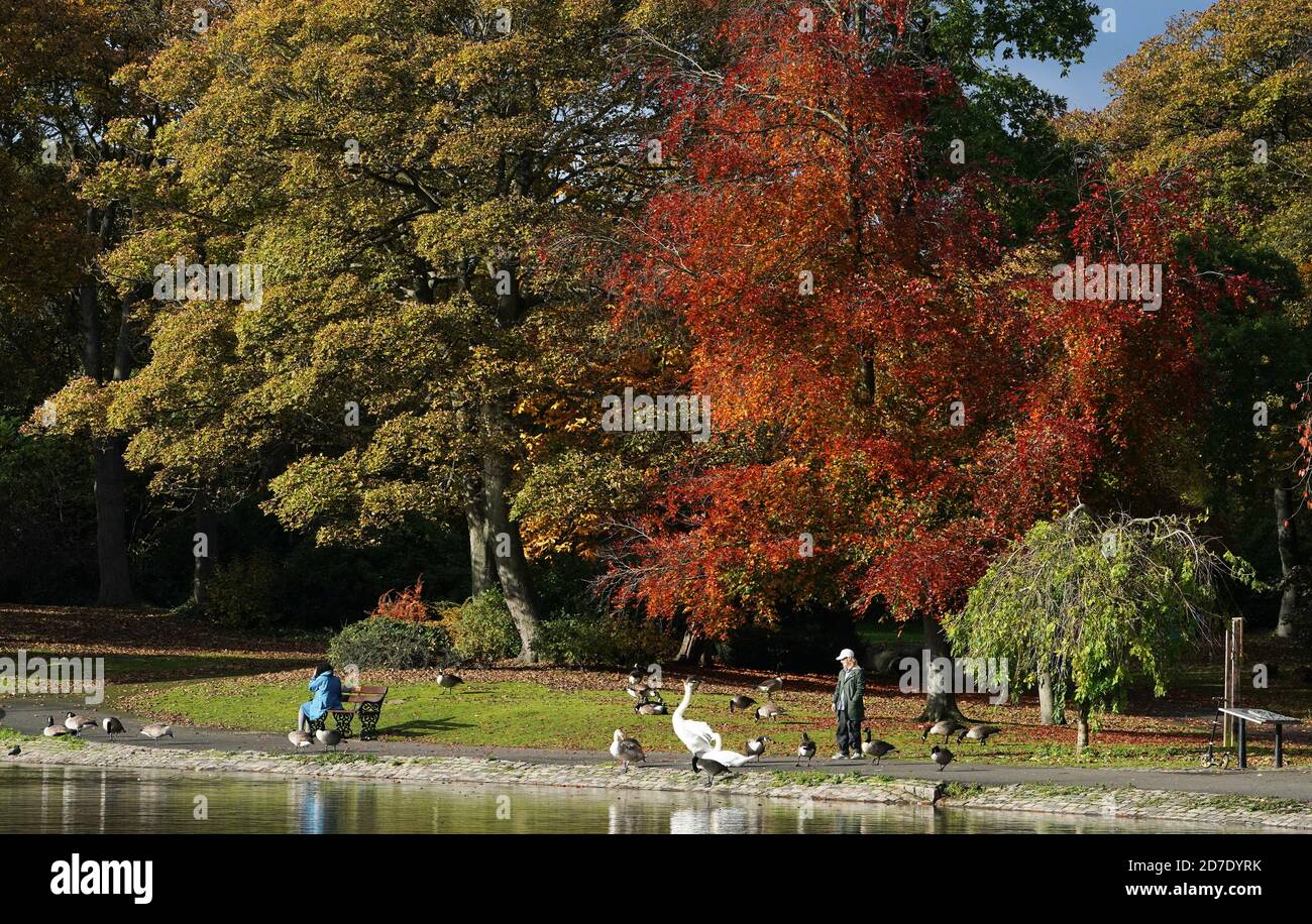 Autumnal colours on display at Leazes Park in Newcastle, the city's ...