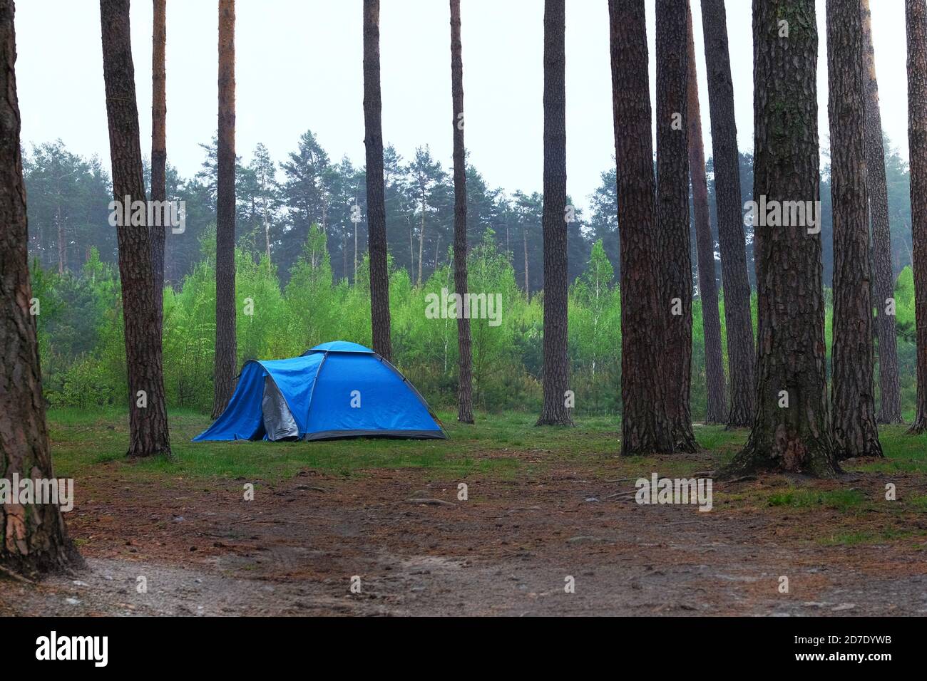 Tent forest hi-res stock photography and images - Alamy