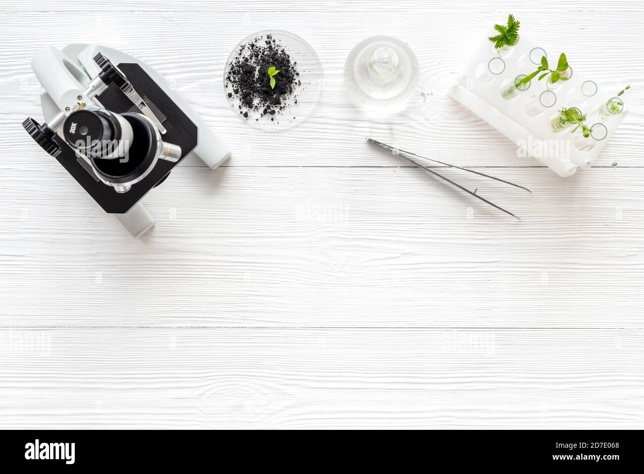 Testing plants and soil in biological laboratory Stock Photo - Alamy