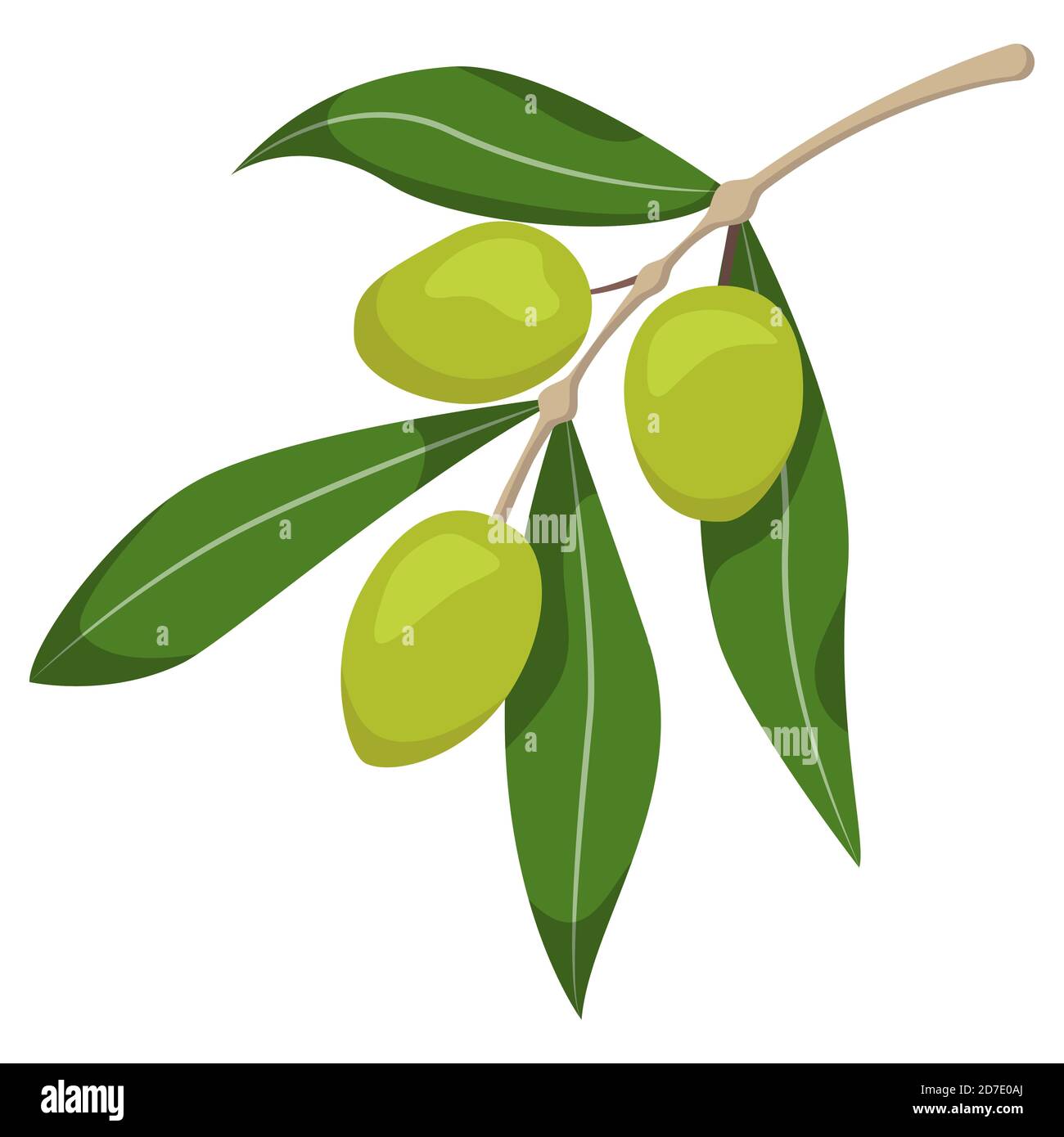 Green olives illustration hi-res stock photography and images - Alamy