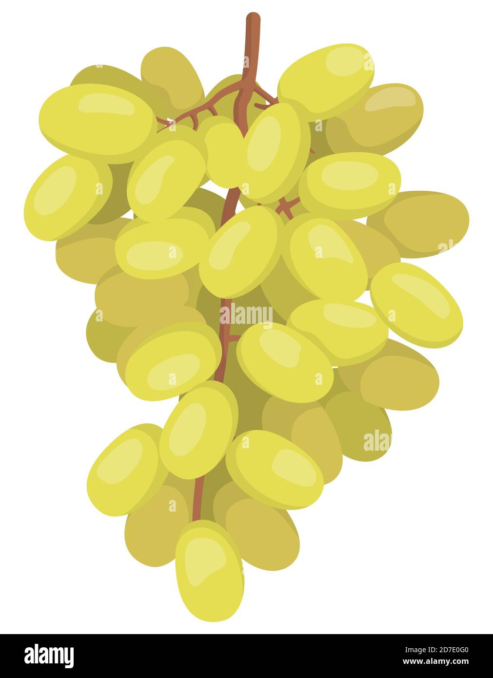 White grape in cartoon style. Sweet fruit isolated on white background ...