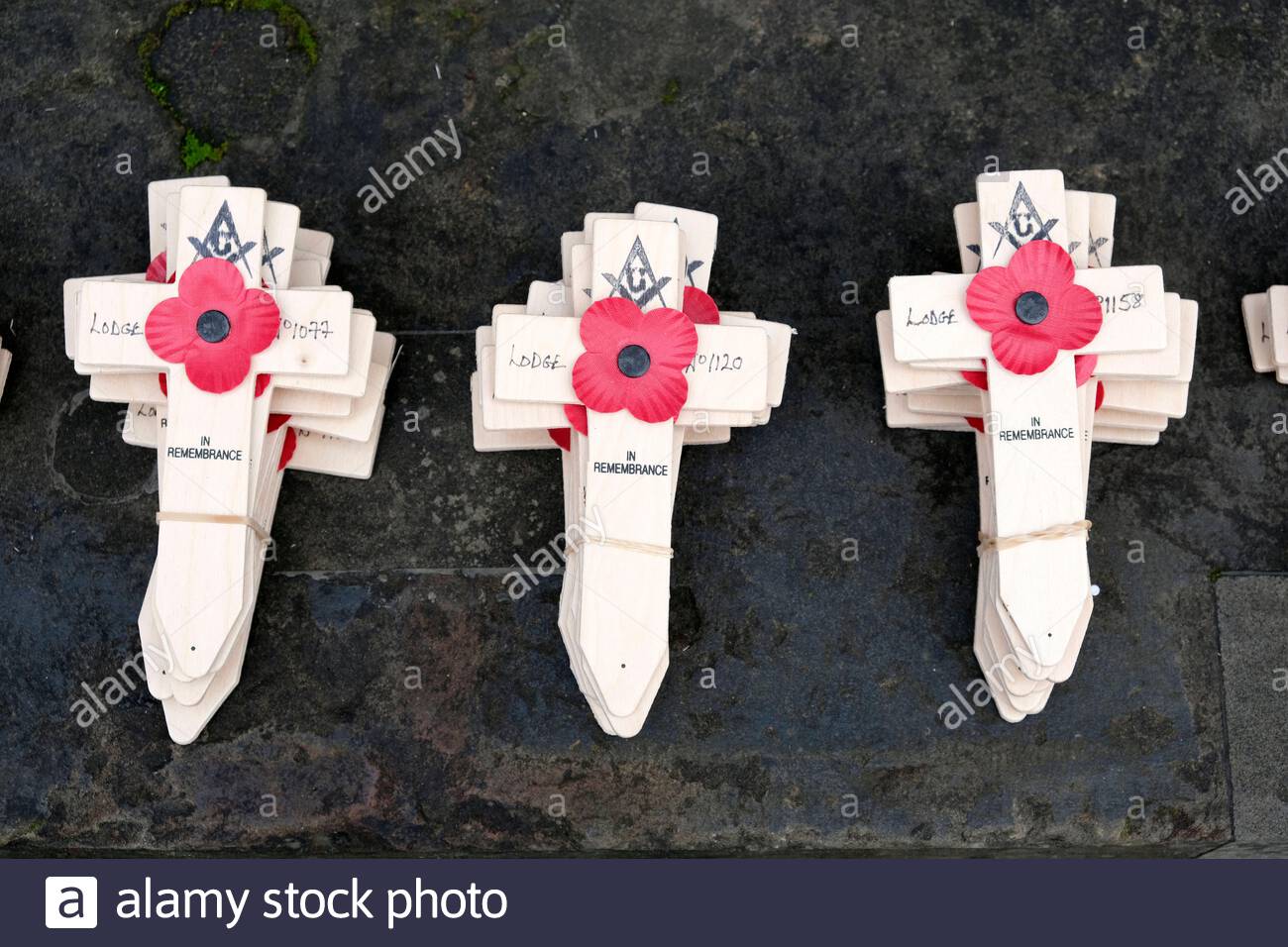 2020 poppy hi-res stock photography and images - Alamy
