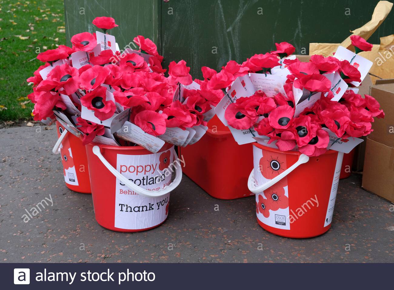 Commonwealth day preparation hi-res stock photography and images - Alamy