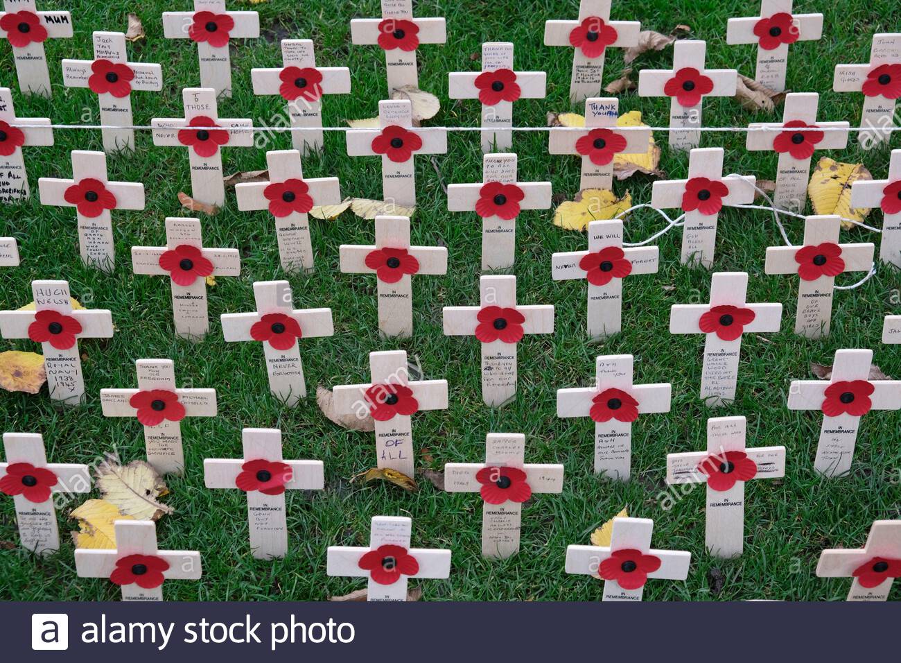 Setting up wooden cross hi-res stock photography and images - Alamy