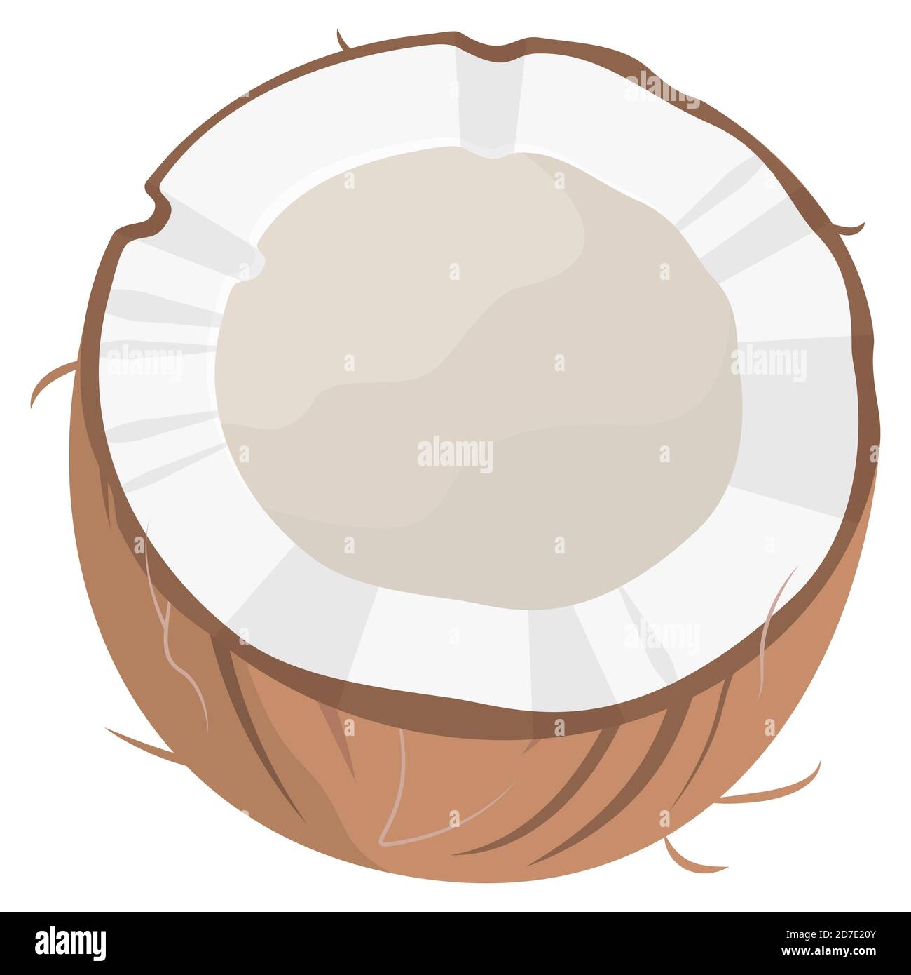 Half of coconut. Tropical fruit in cartoon style Stock Vector Image ...