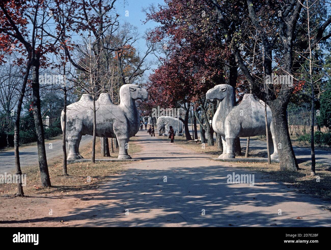 Beijing china 1970s 70s hi-res stock photography and images - Alamy