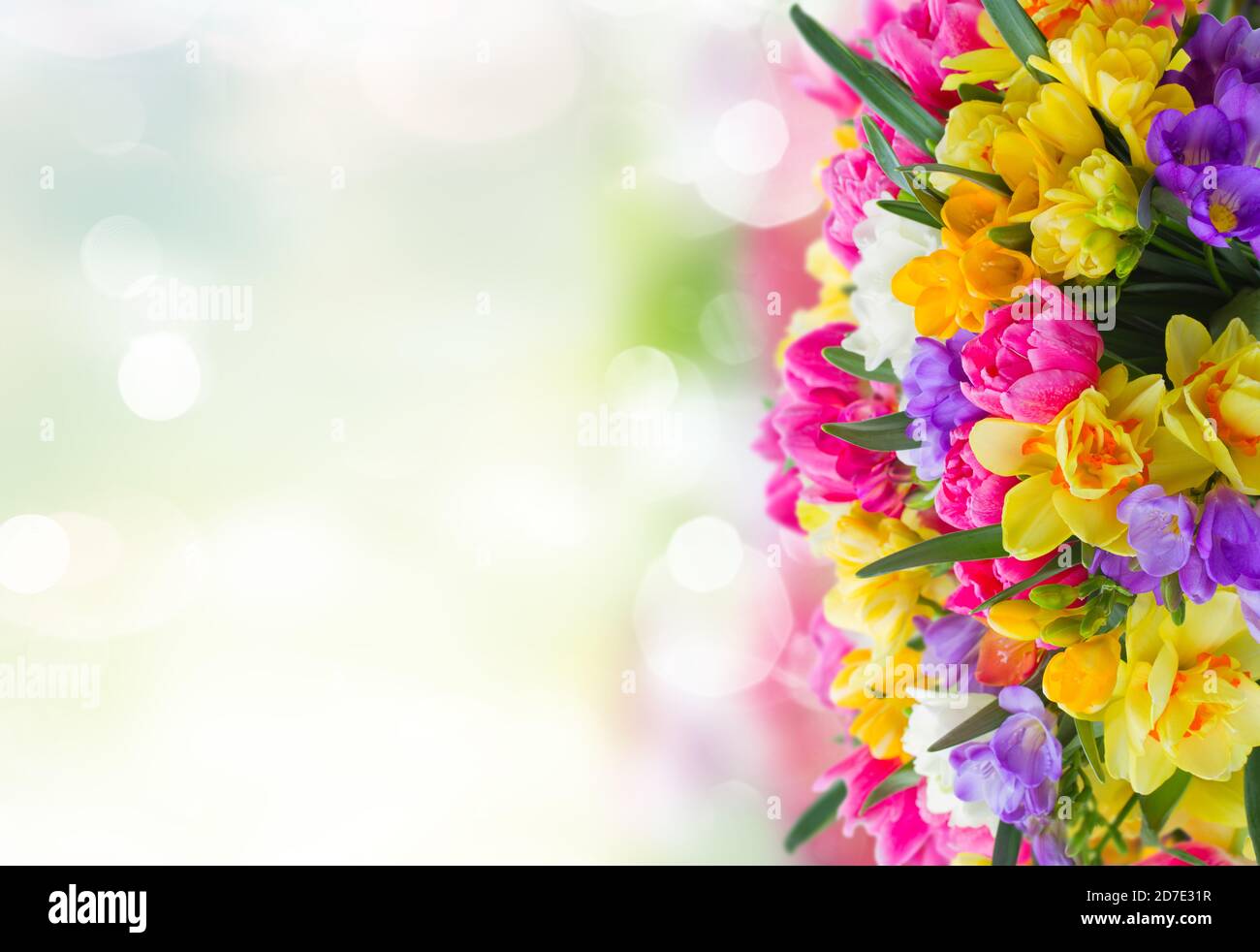 freesia and daffodil flowers border Stock Photo - Alamy