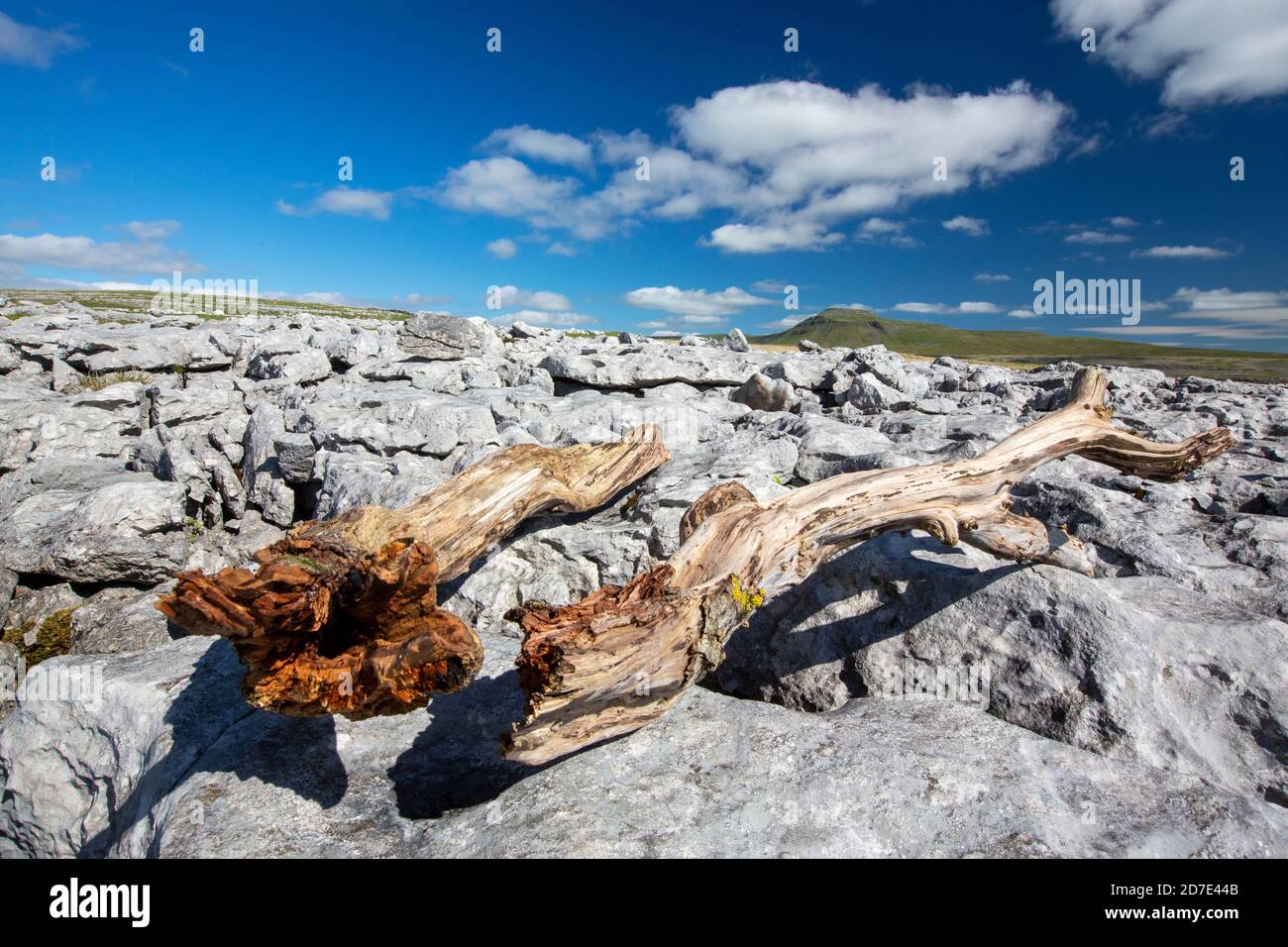 Ingleton branch hi-res stock photography and images - Alamy