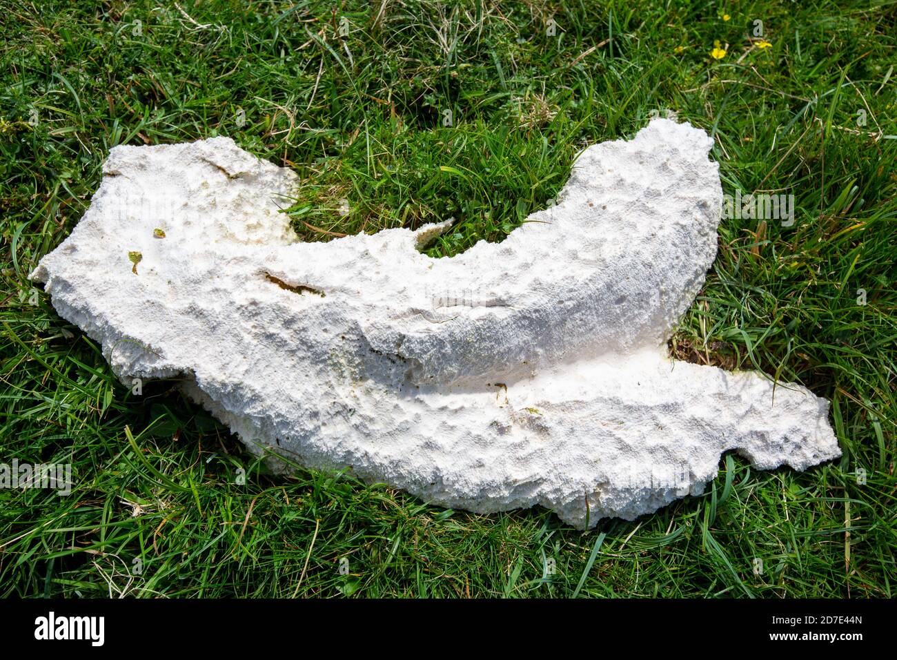 An upturned peice of Limestone pavement on Twisleton Scar above ...