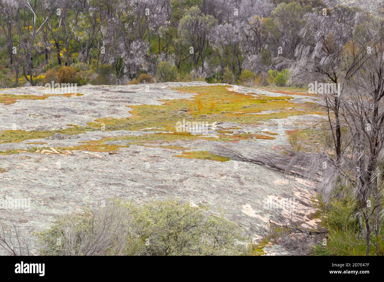 Panorama granite rock outcrop hi-res stock photography and images - Alamy