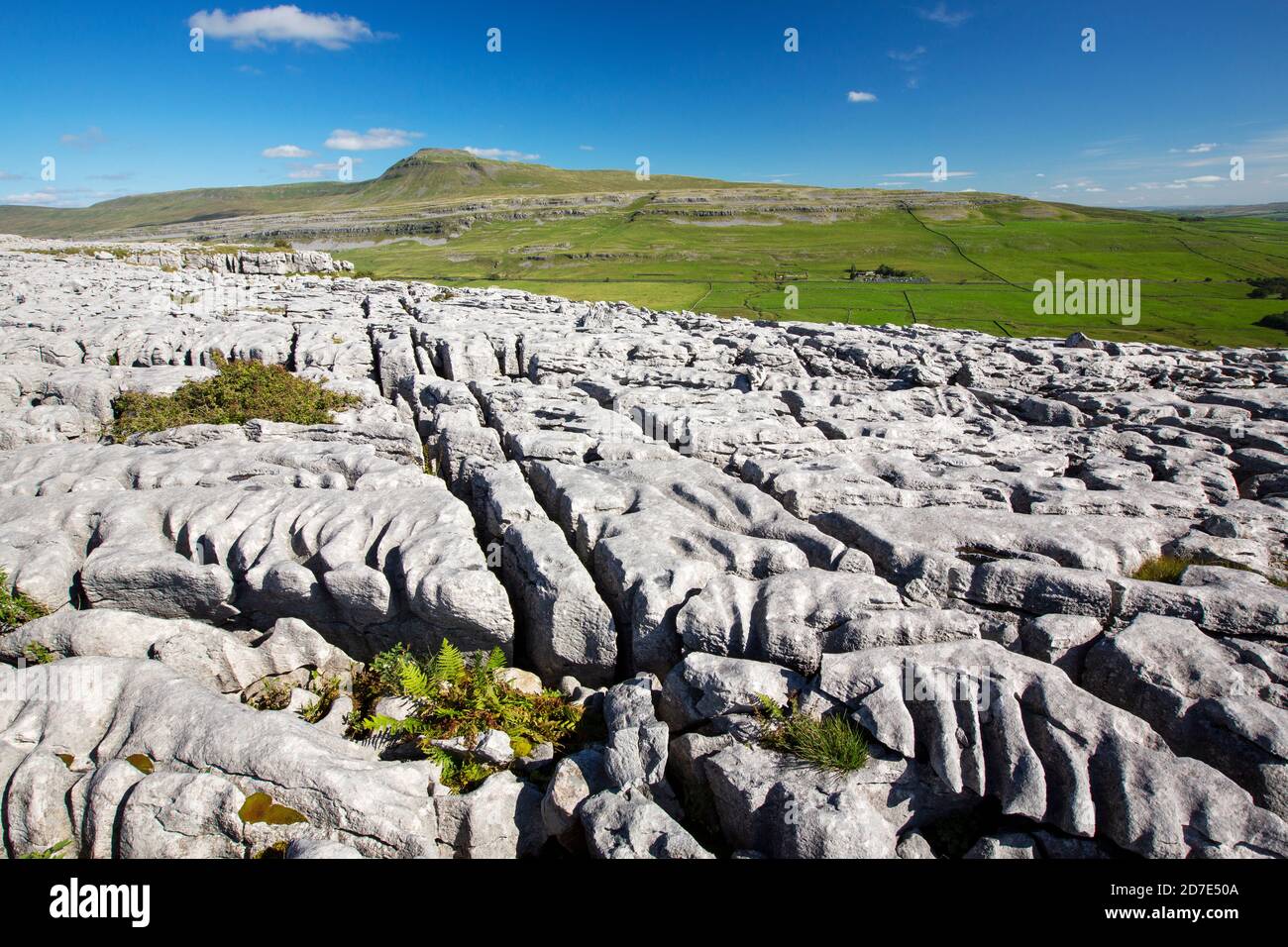 Limestone pavement on Twisleton Scar above Ingleton, Yorkshire Dales ...
