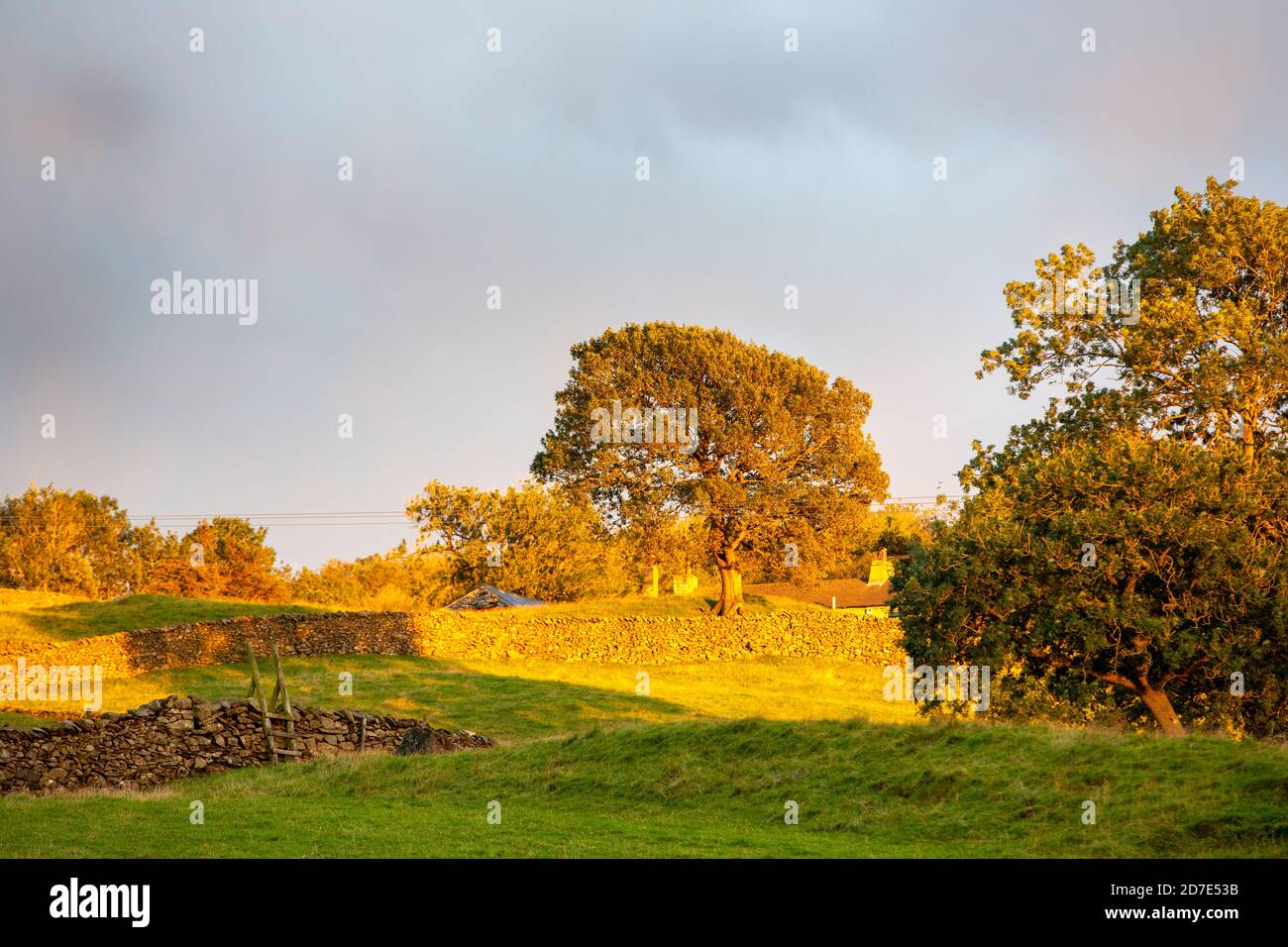 Sunset glow on Farmland in Austwick, Yorkshire dales, UK Stock Photo ...