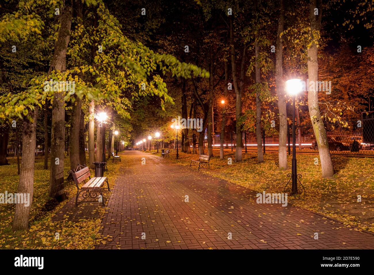 Night autumn park with fallen leaves on the pavement and benches in the ...
