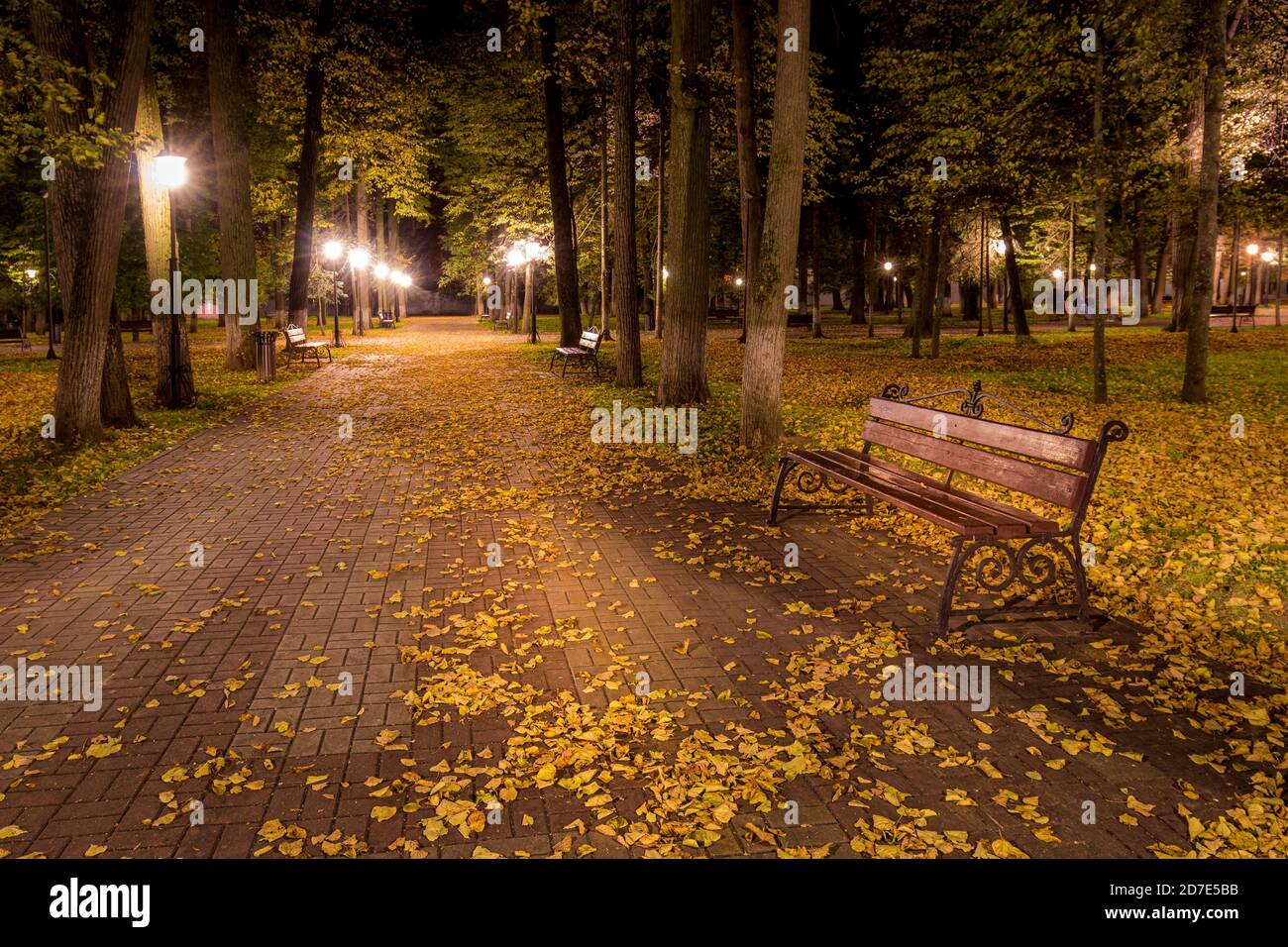 Night autumn park with fallen leaves on the pavement and benches in the ...