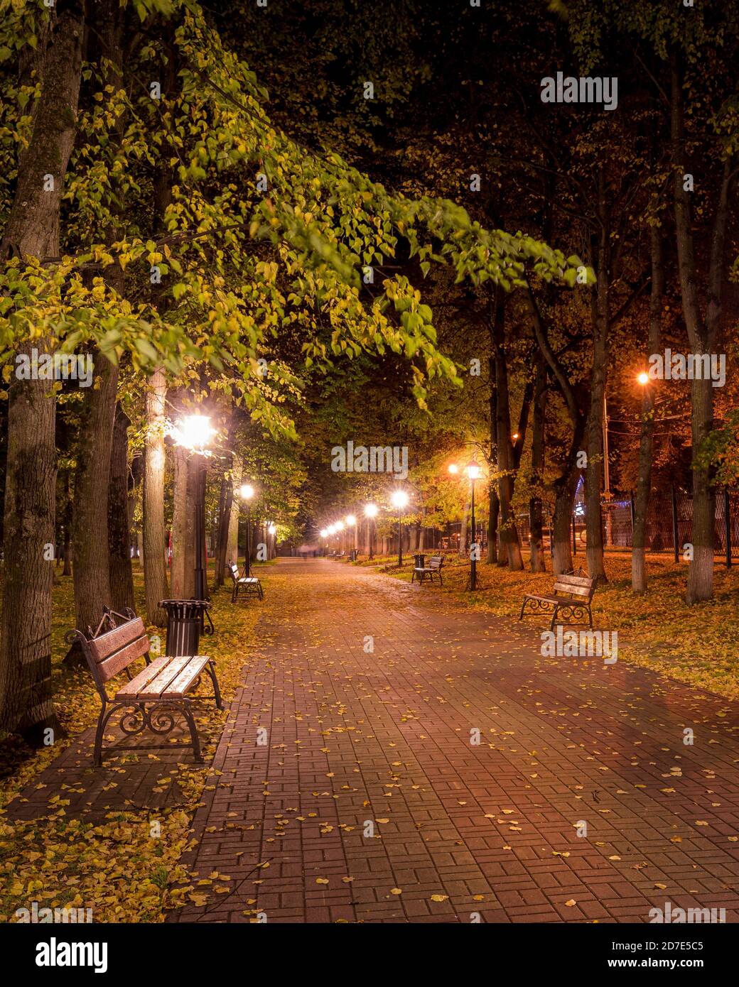 Night autumn park with fallen leaves on the pavement and benches in the ...