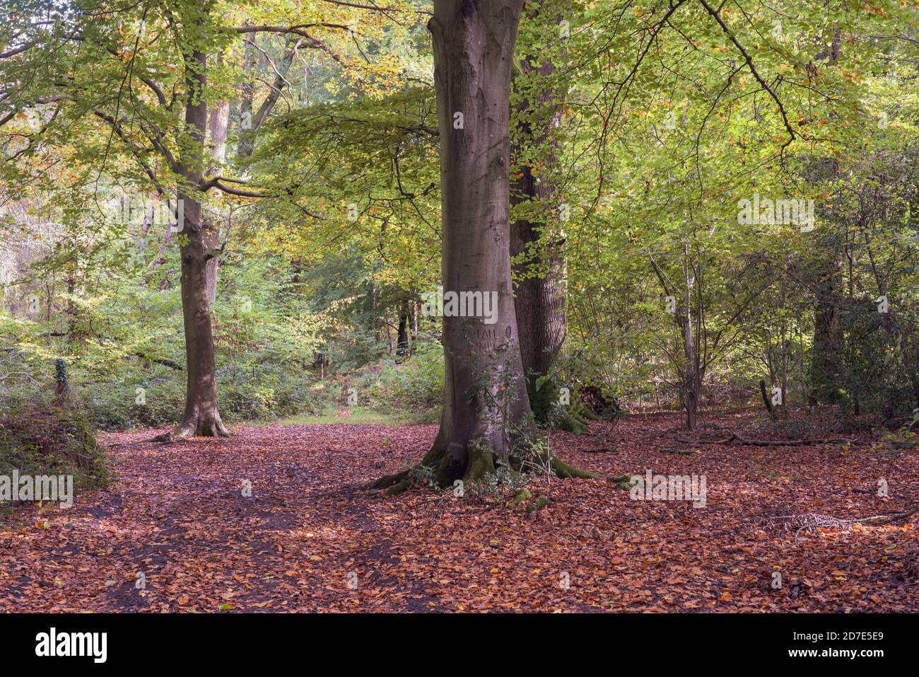 Bramdean hi-res stock photography and images - Alamy