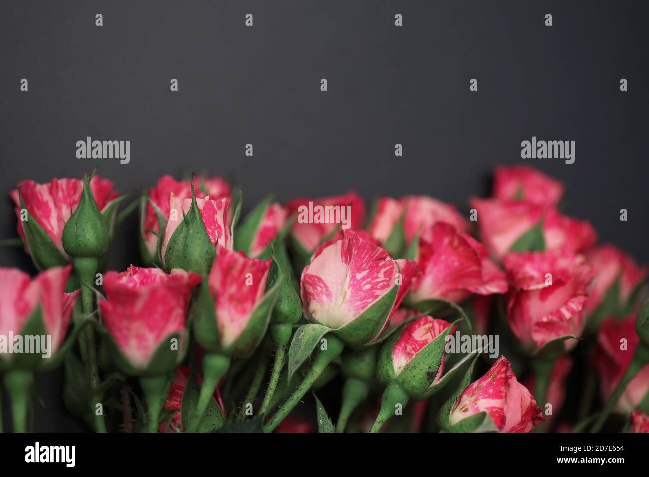 Bouquet of red roses on black matte background Stock Photo - Alamy