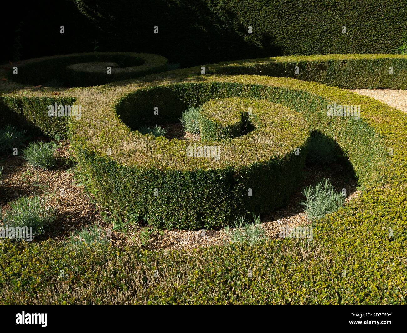 Box hedge, Houghton Hall & Gardens, Norfolk, East Anglia, England, UK ...