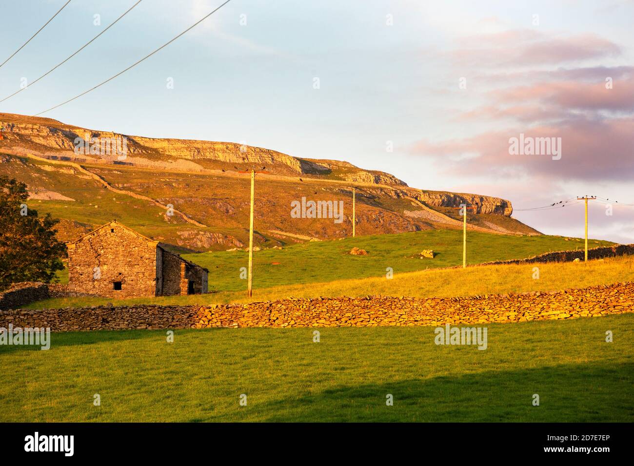Tree line sunset uk hi-res stock photography and images - Alamy