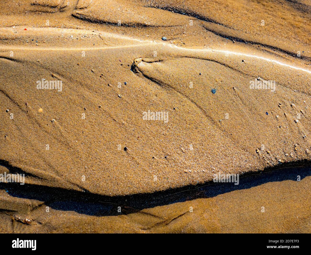 Sand ripples on the beach Stock Photo - Alamy