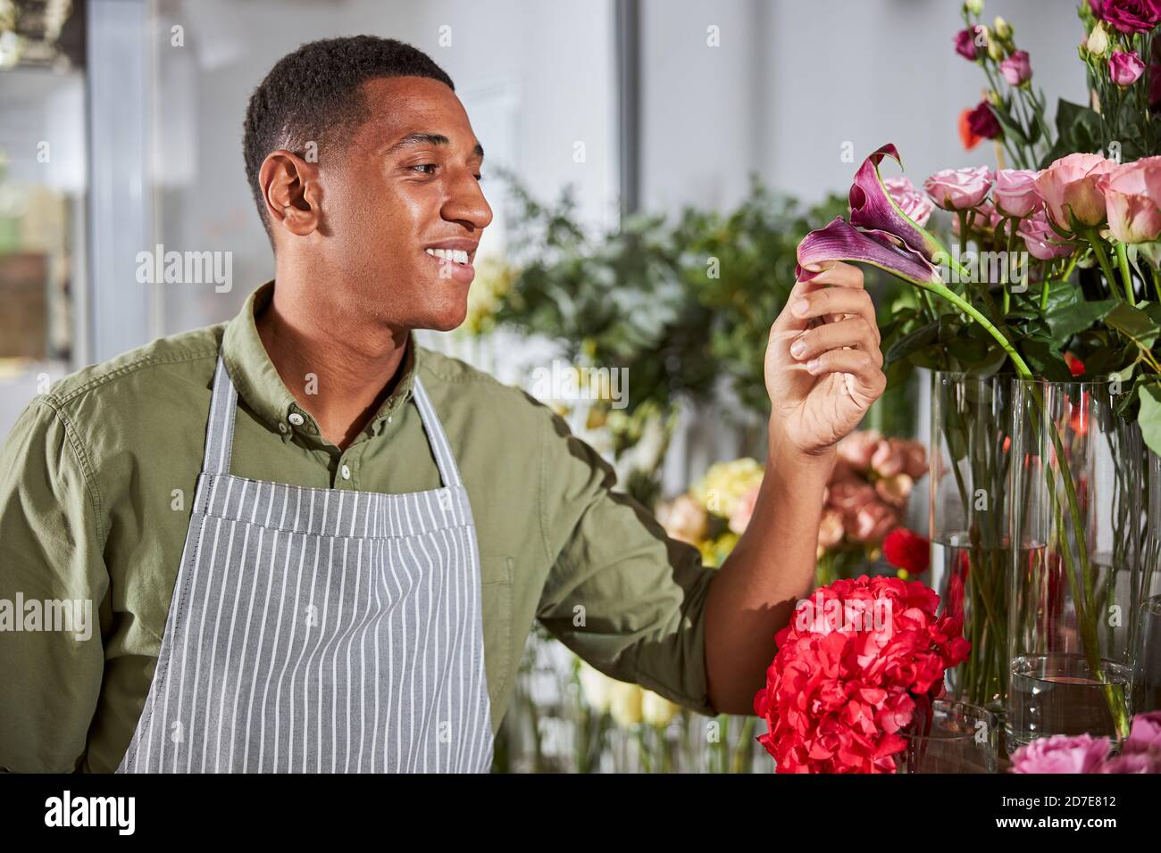 Floral designer checking vase roses hi-res stock photography and images ...