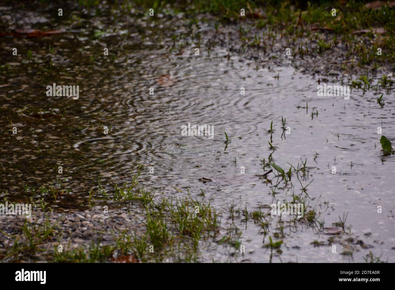 Raining storm on asphalt hi-res stock photography and images - Alamy