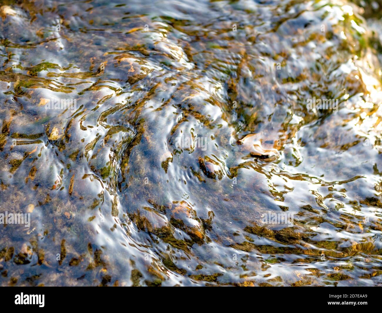 Small clear stream gently hi-res stock photography and images - Alamy