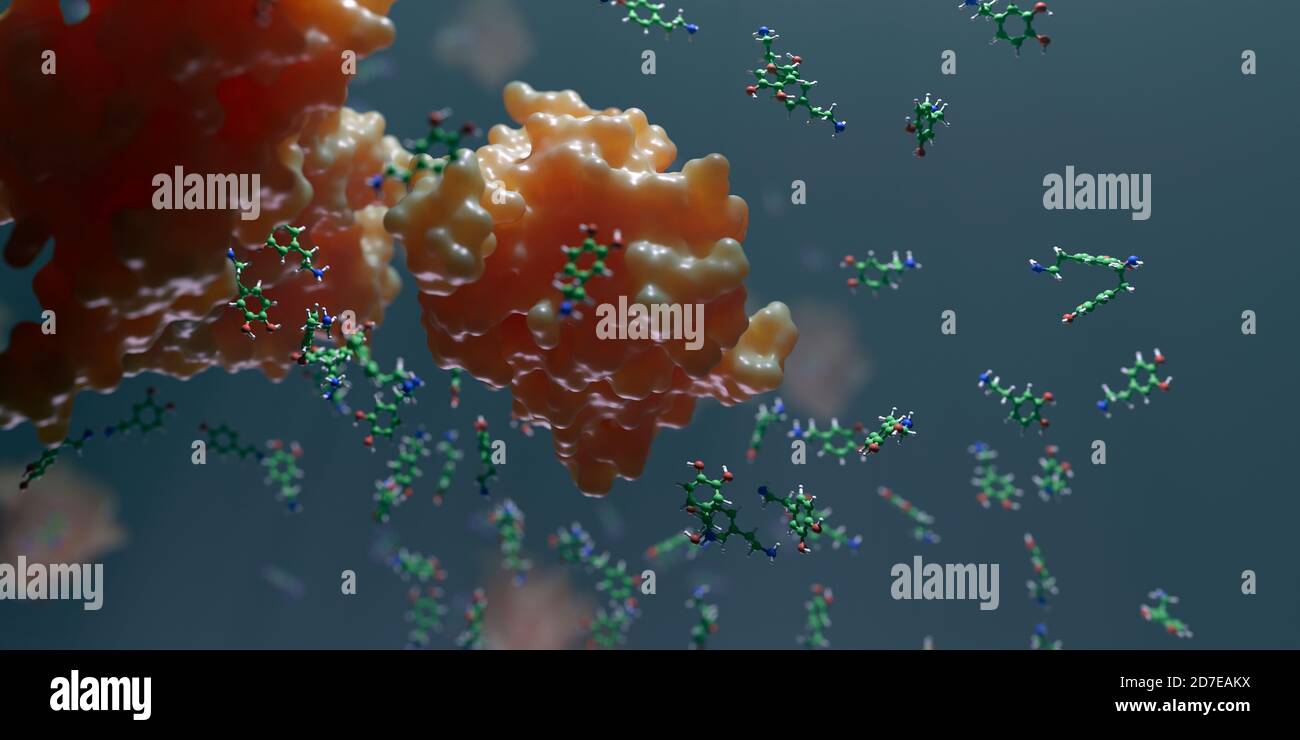 Dopamine release in the brain hi-res stock photography and images - Alamy