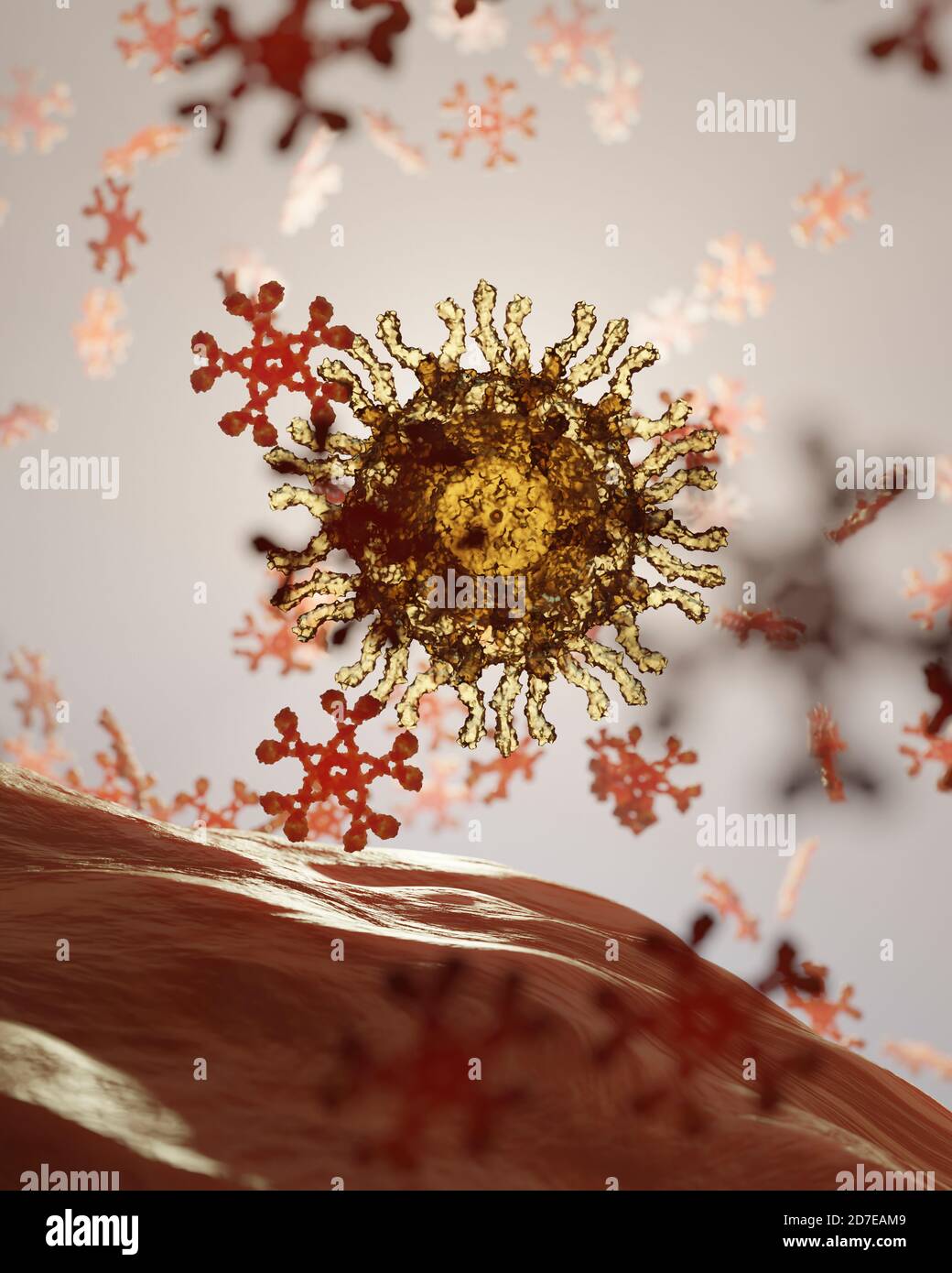 Viral membrane hi-res stock photography and images - Alamy