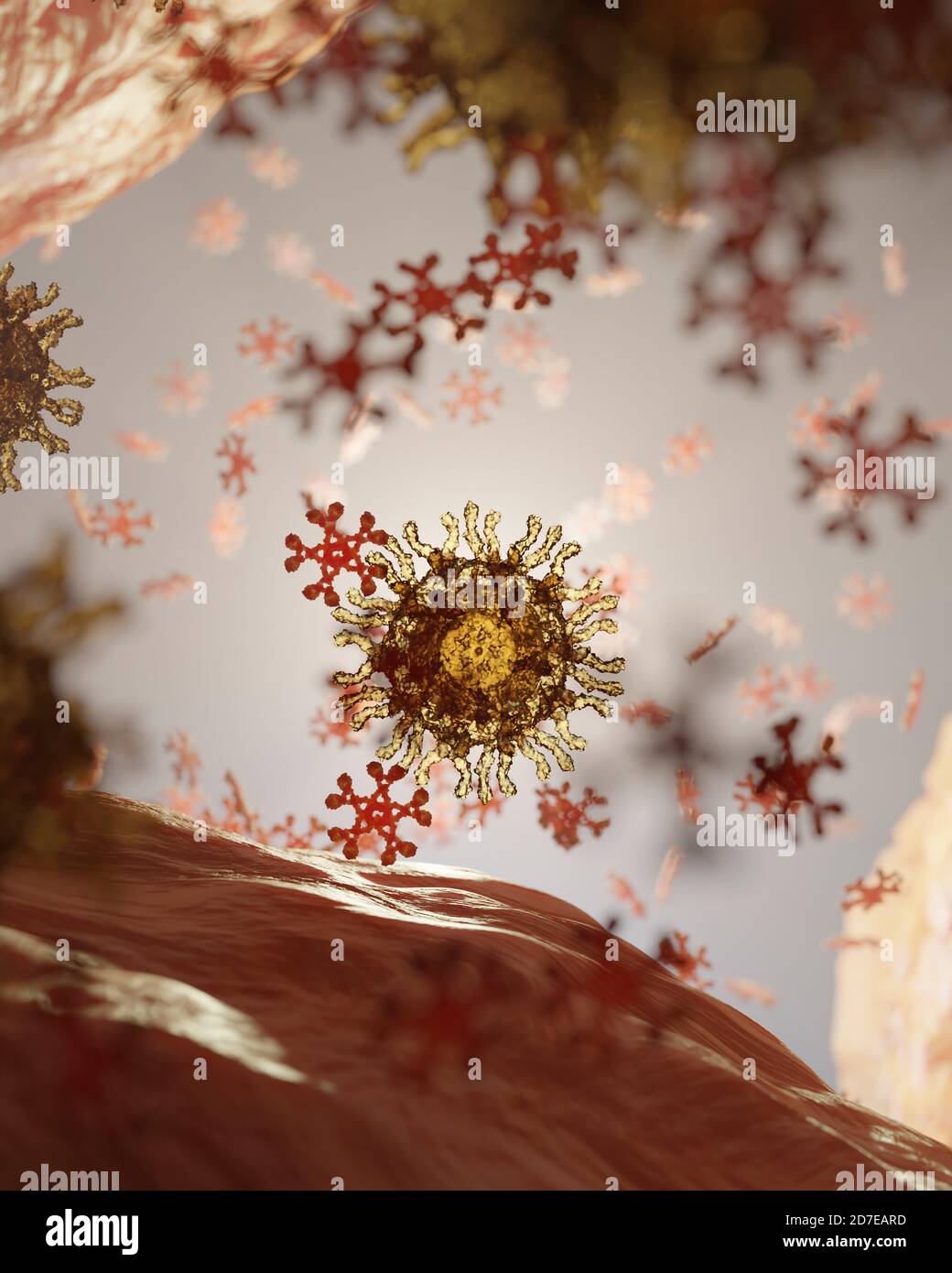 Immune response to an antigen (virus or pathogen) by release of ...