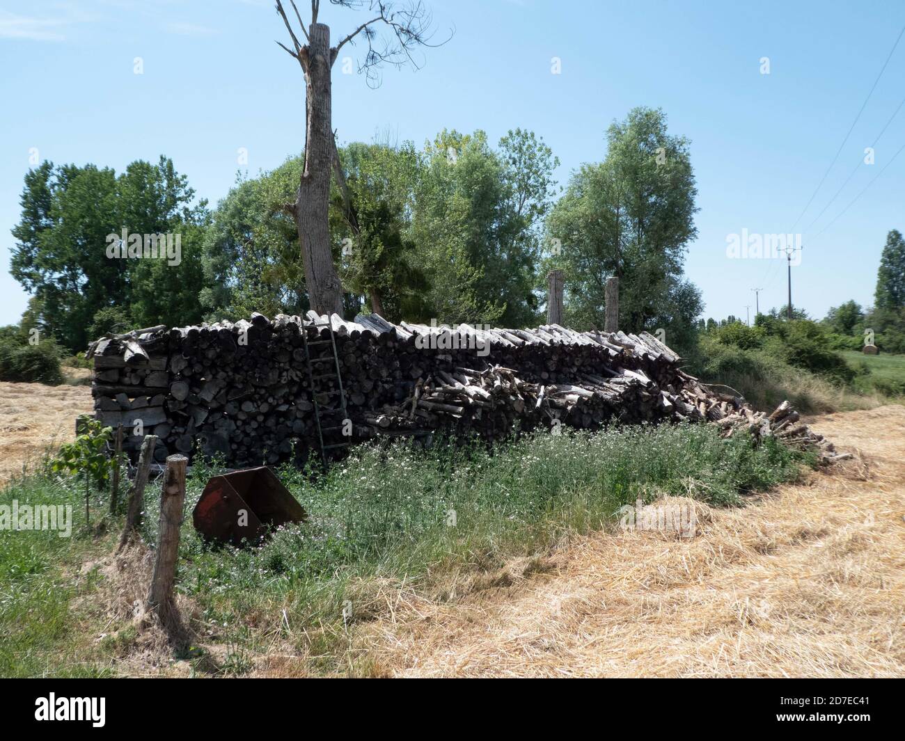 rustic stack of timber in the countryside Stock Photo - Alamy