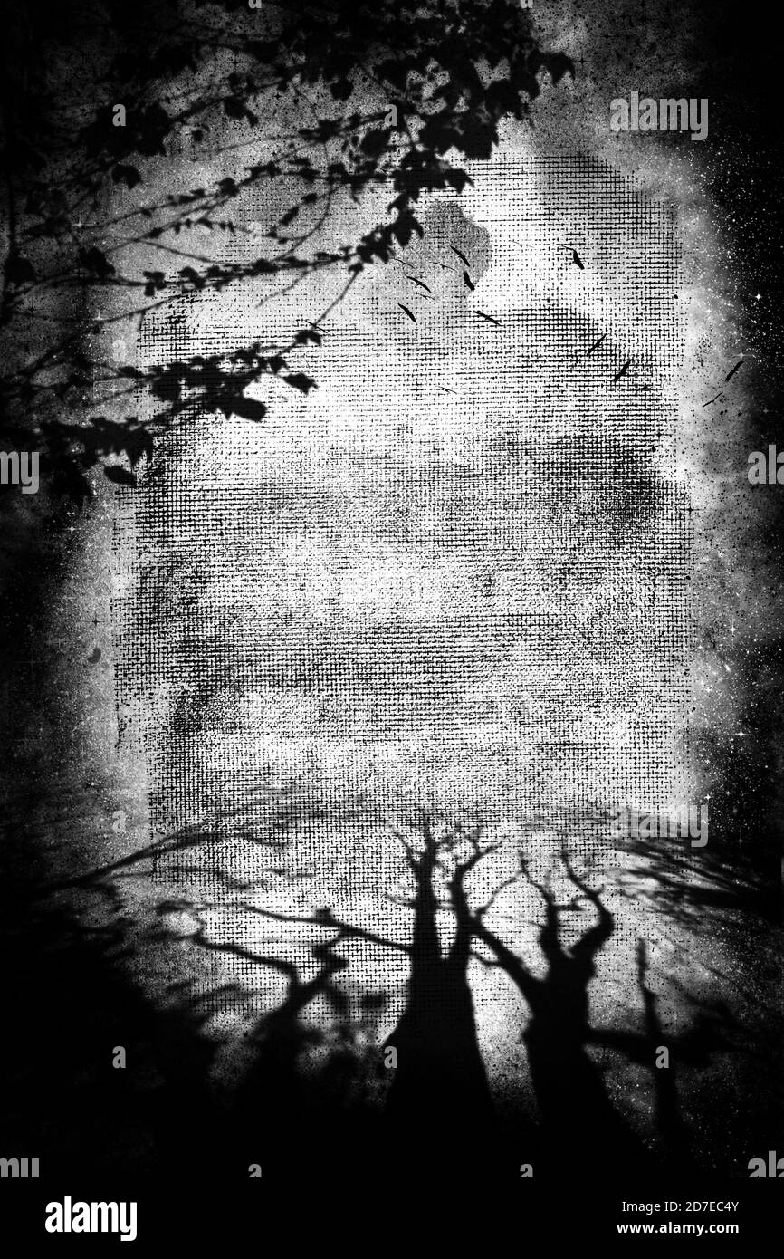 Vintage image of spooky forest with leafless trees and birds. Old paper ...