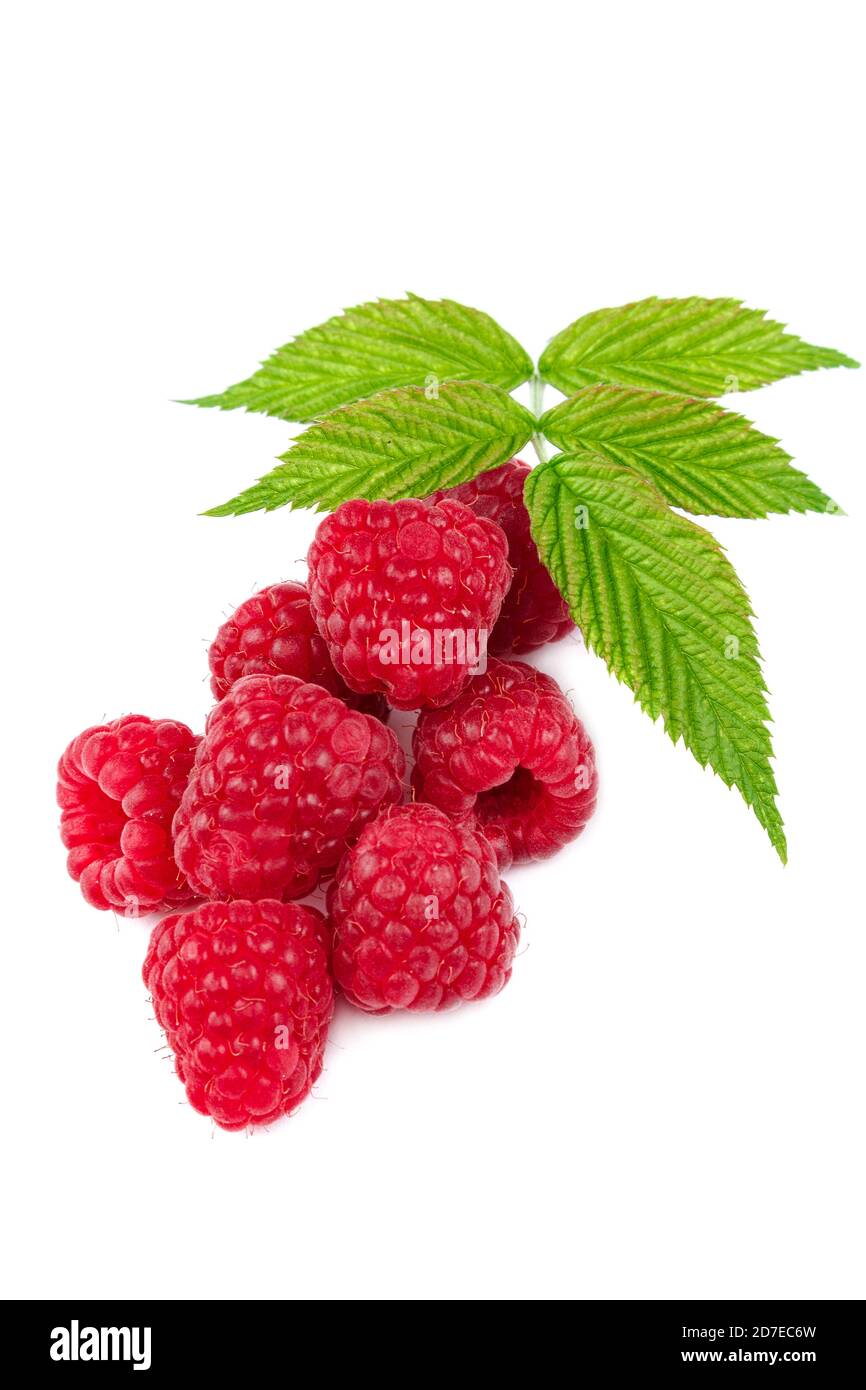 Fruits raspberries isolated on a white background Stock Photo - Alamy