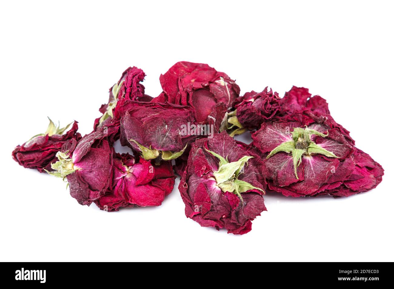 Dog rose flower buds Cut Out Stock Images & Pictures - Alamy