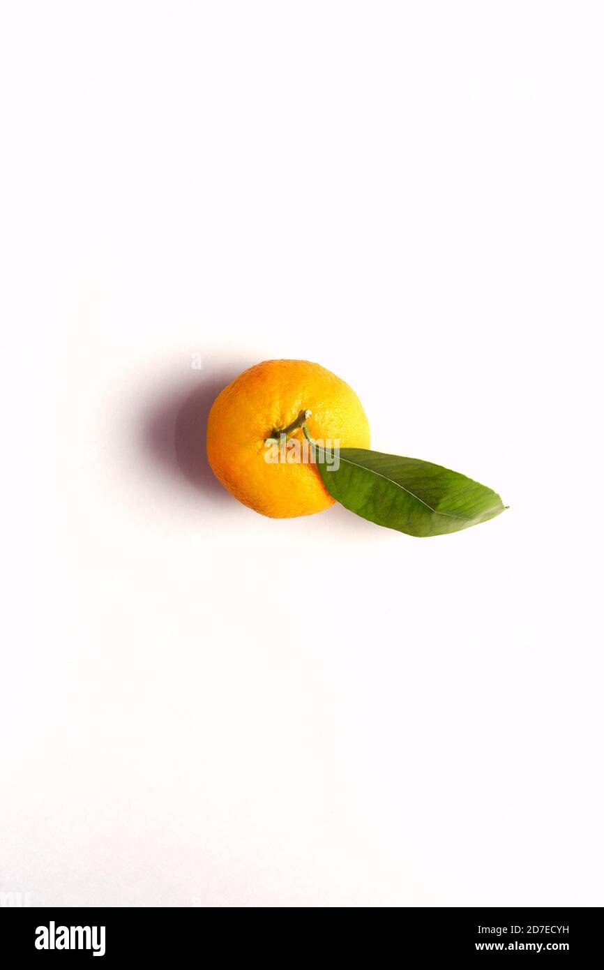 Overhead View Of Fresh Satsuma With Leaf On White Background Stock ...