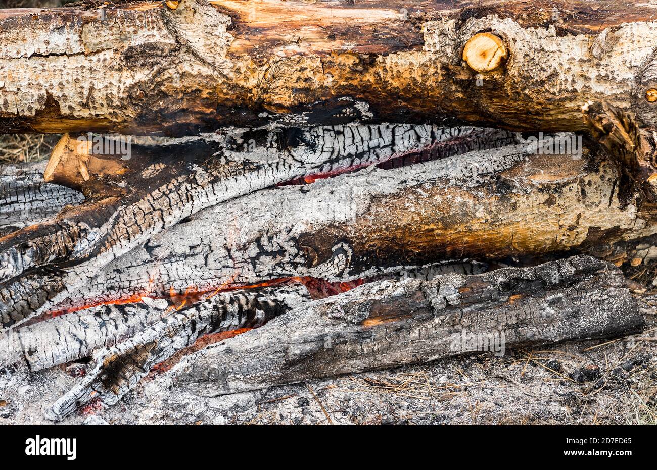 Logs in a blazing fire Stock Photo - Alamy