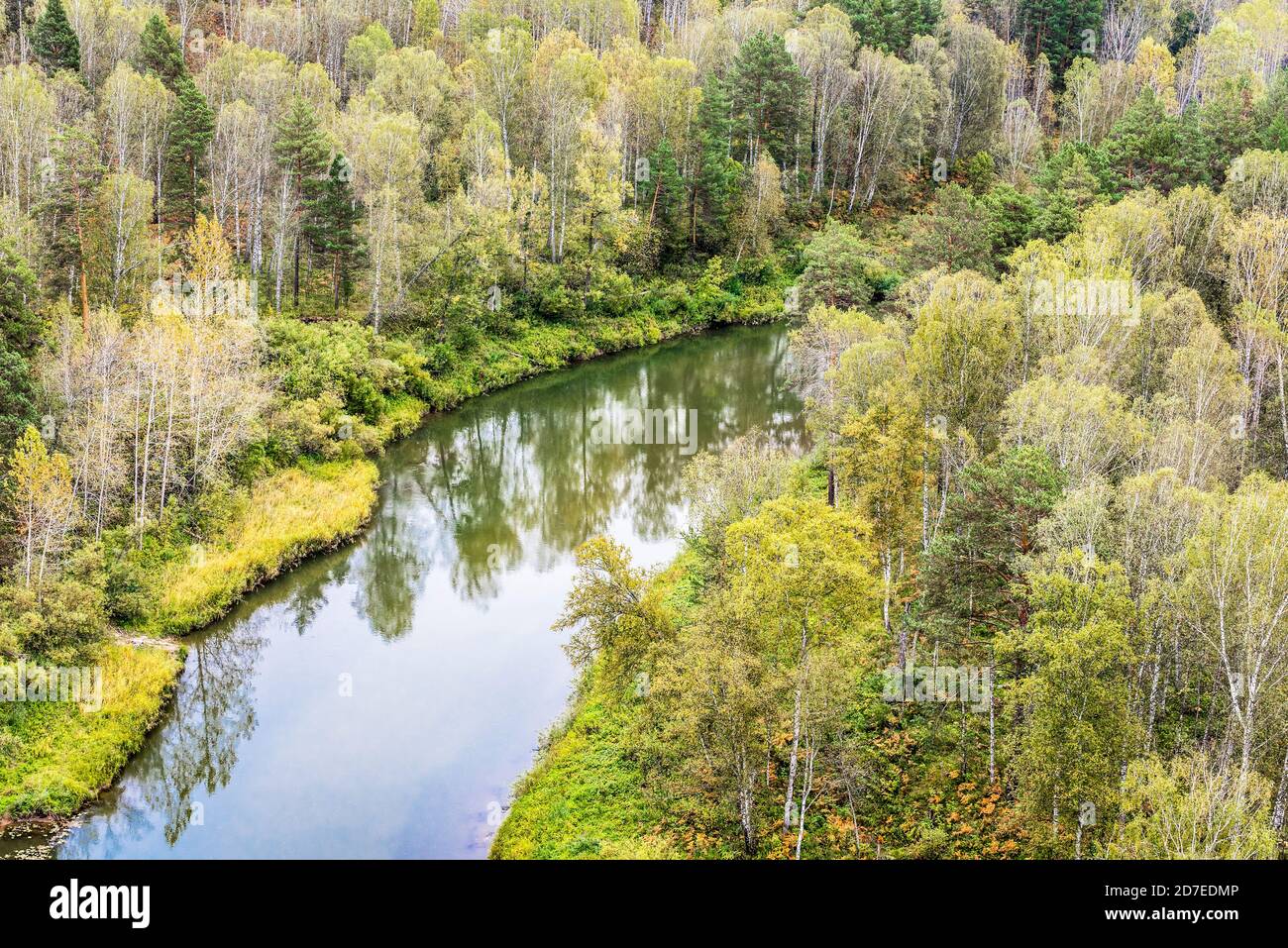 Top view of the river in the Siberian taiga among the forests in autumn ...