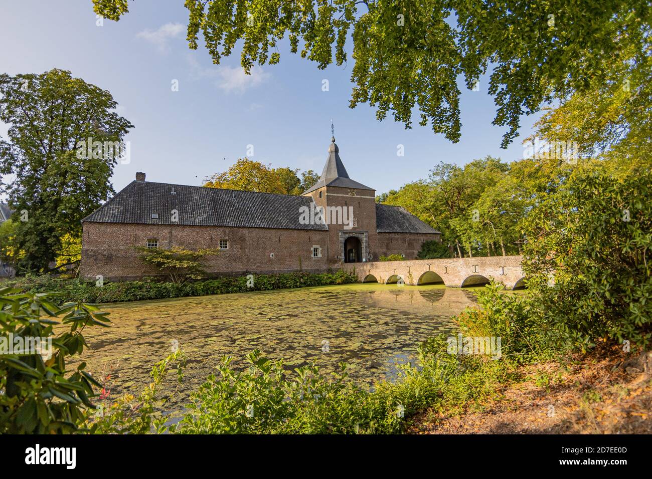 Pond with blooming algae that cover the surface of the water surrounded ...