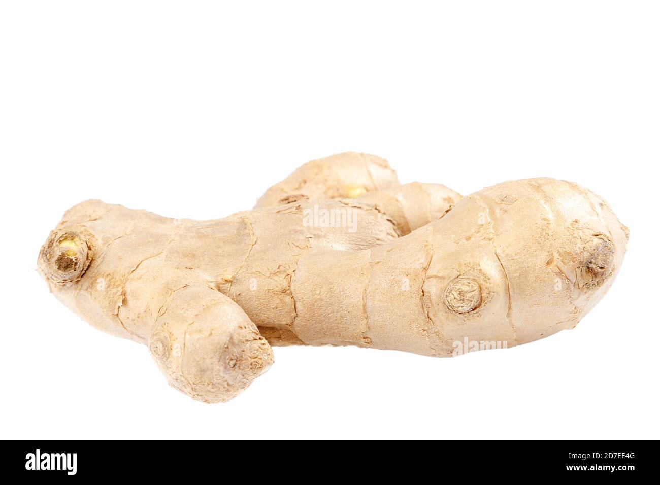Fresh ginger root fruits isolated on white background Stock Photo - Alamy