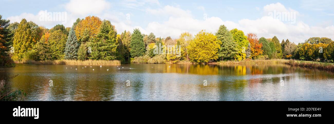 Bodenham arboretum worcestershire hi-res stock photography and images ...