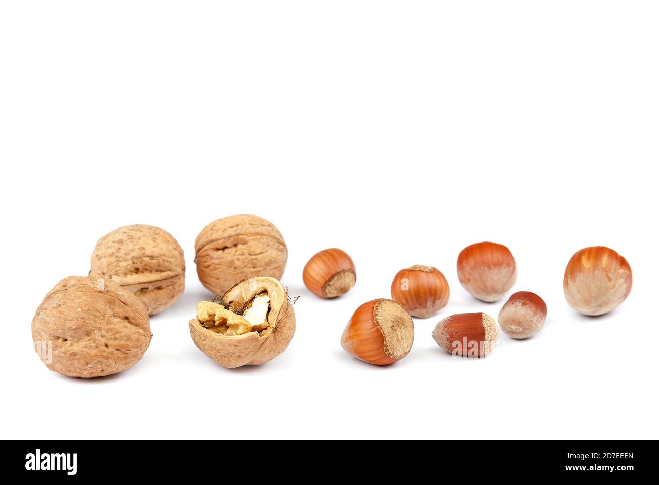 Hazelnuts and walnuts isolated on white background Stock Photo - Alamy