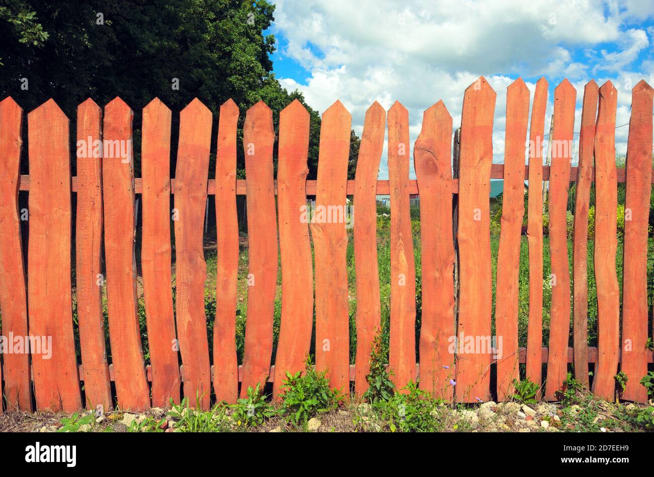 Garden wooden fence of curve boards on backyard Stock Photo - Alamy