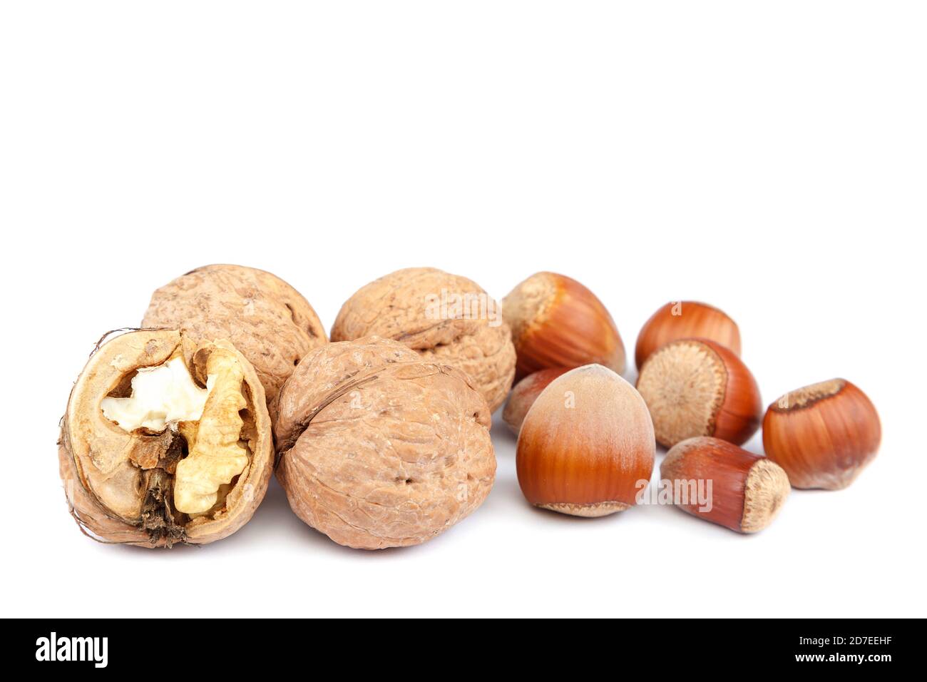 Hazelnuts and walnuts isolated on white background Stock Photo - Alamy