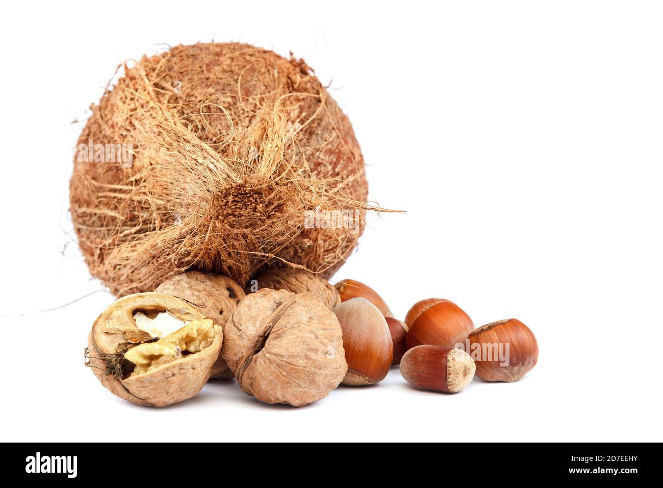 Walnut, hazelnut and coconut isolated on white background Stock Photo ...